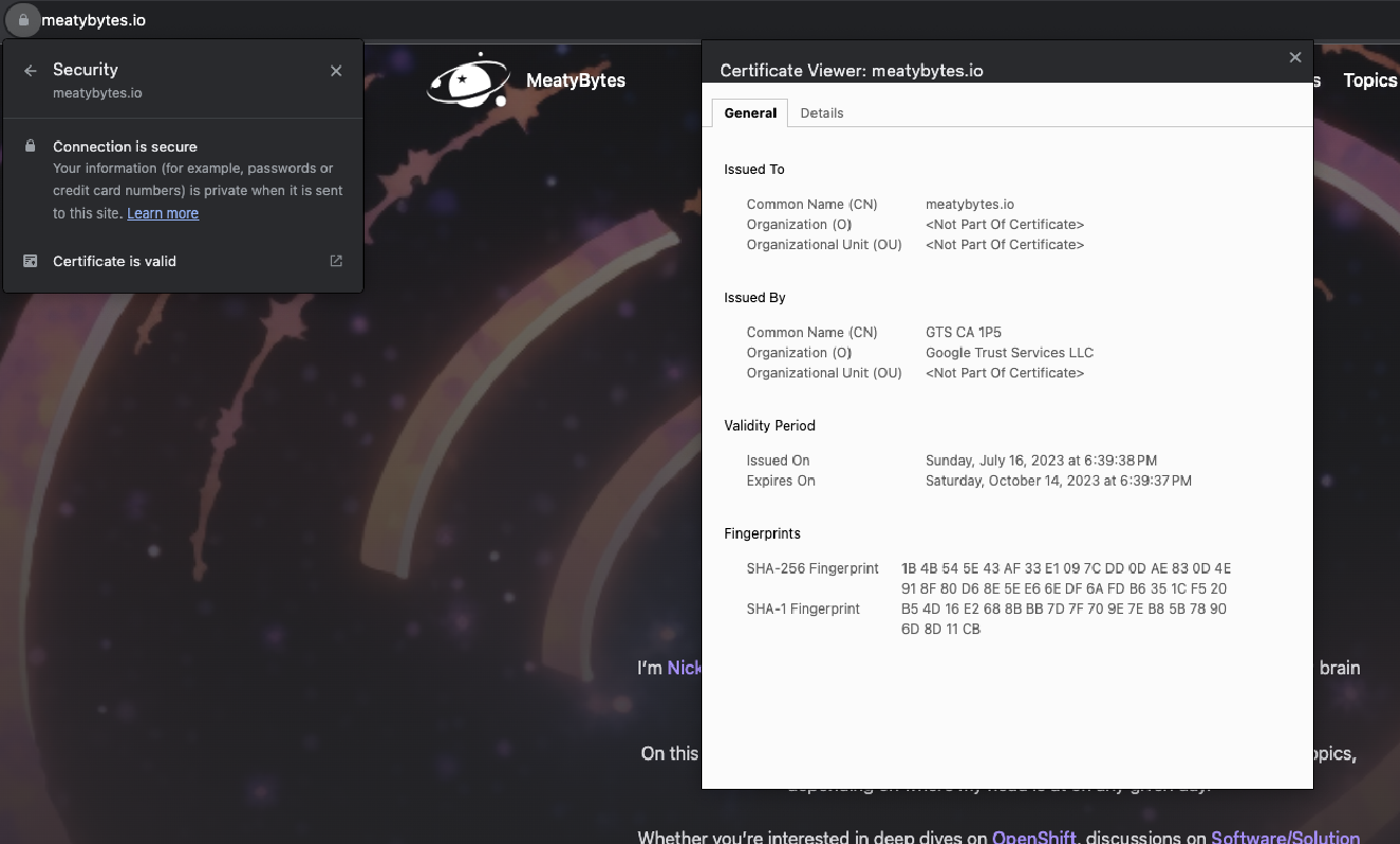 Simplify TLS Cert Management with OCP cert-manager Operator · MeatyBytes